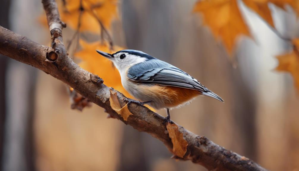 Top 15 Types Of Birds In Ontario (With Pictures) - Fly Aviary