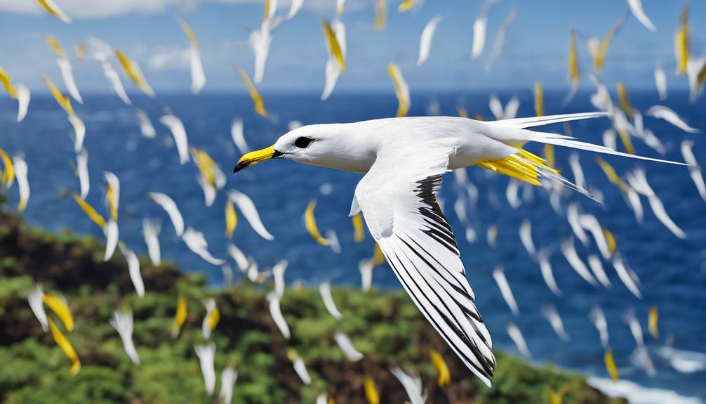 Top 15 Types Of Birds In Kauai (With Pictures) - Fly Aviary