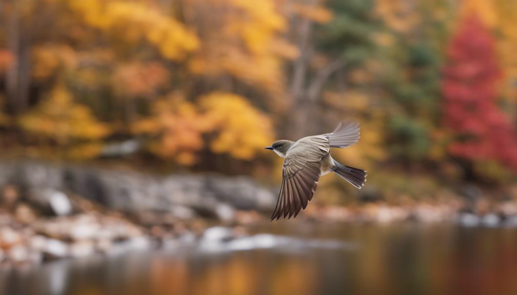 Top 15 Types Of Birds In Pennsylvania (With Pictures) - Fly Aviary
