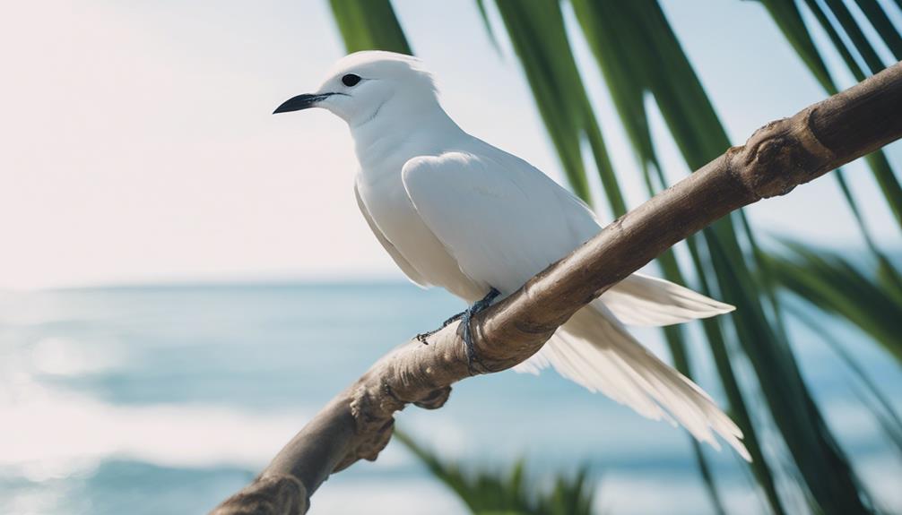 Top 15 Types Of Birds In Honolulu (With Pictures) - Fly Aviary