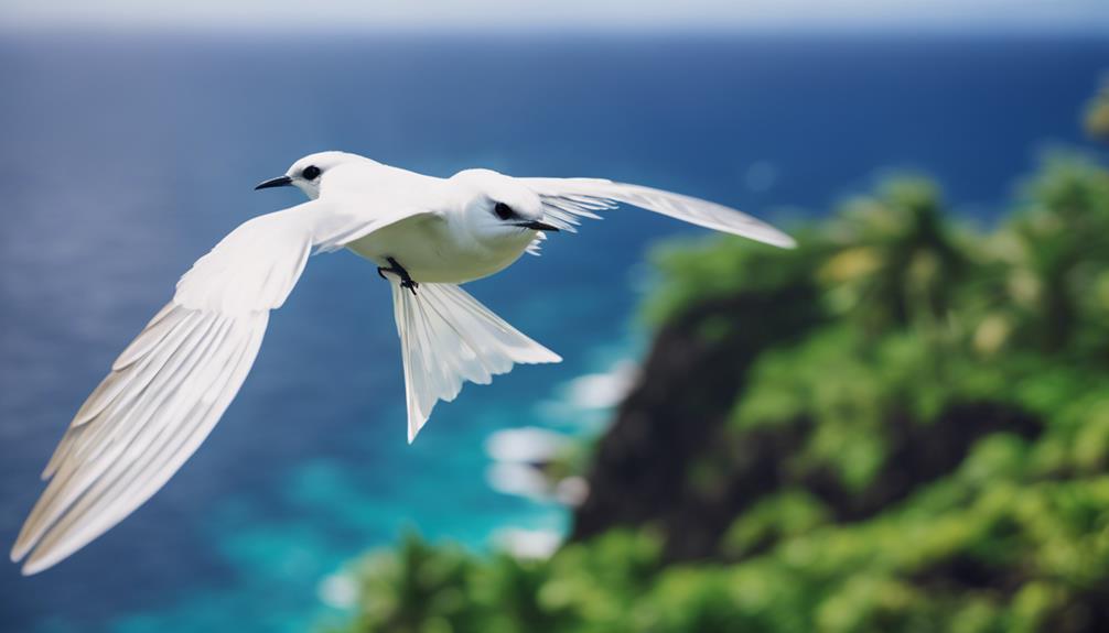 Top 15 Types Of Birds In Hawaii (With Pictures) - Fly Aviary