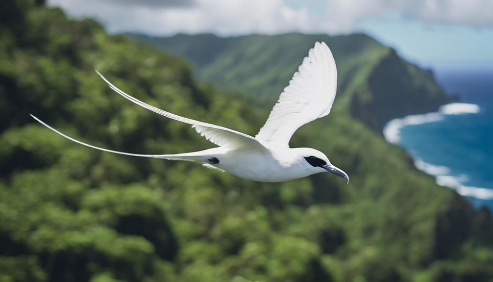 Top 15 Types Of Birds In Kauai (With Pictures) - Fly Aviary
