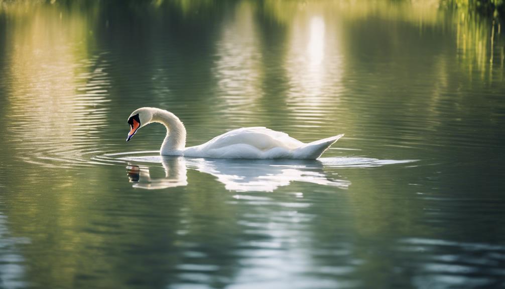 Top 15 Types Of Lake Birds (With Pictures) - Fly Aviary