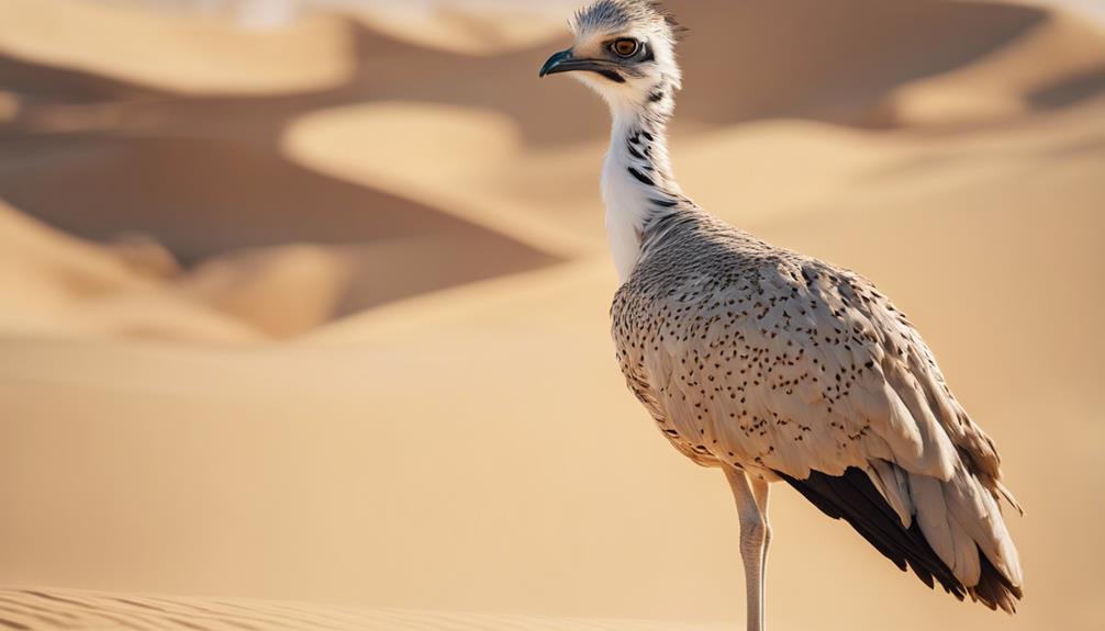 Top 15 Types Of Birds In Dubai (With Pictures) - Fly Aviary