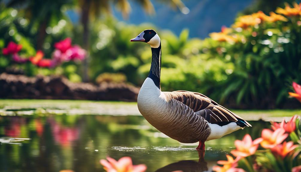 Top 15 Types Of Birds In Kauai (With Pictures) - Fly Aviary