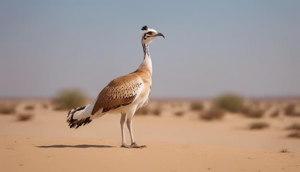 Top 15 Types Of Birds In Rajasthan (With Pictures) - Fly Aviary