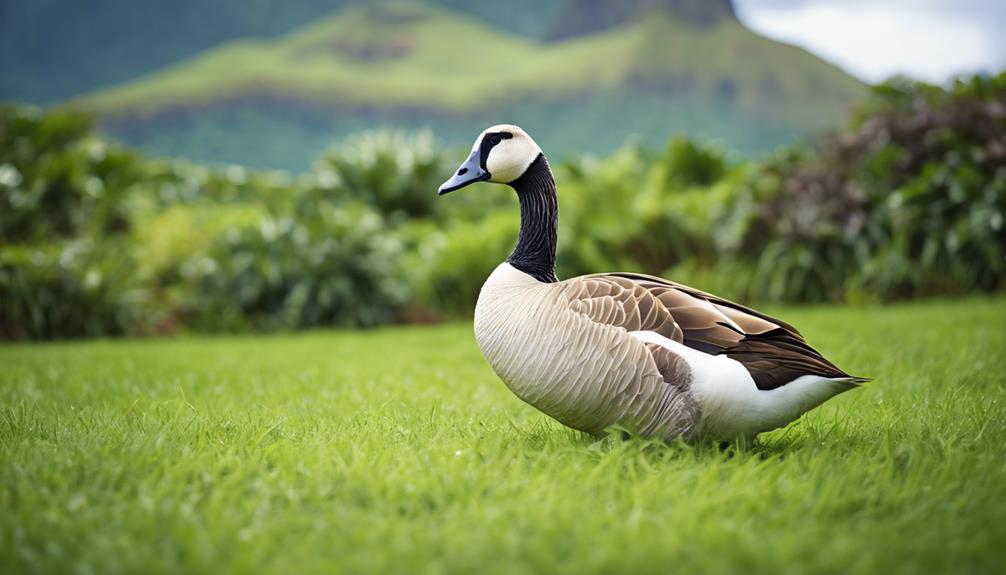 Top 15 Types Of Birds In Kauai (With Pictures) - Fly Aviary