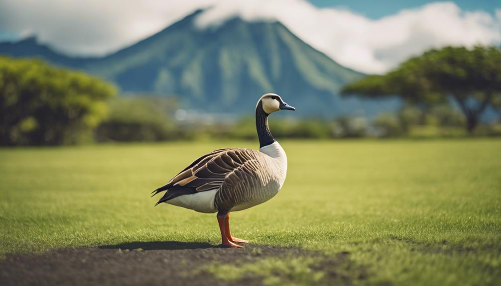 Top 15 Types Of Birds In Hawaii (With Pictures) - Fly Aviary