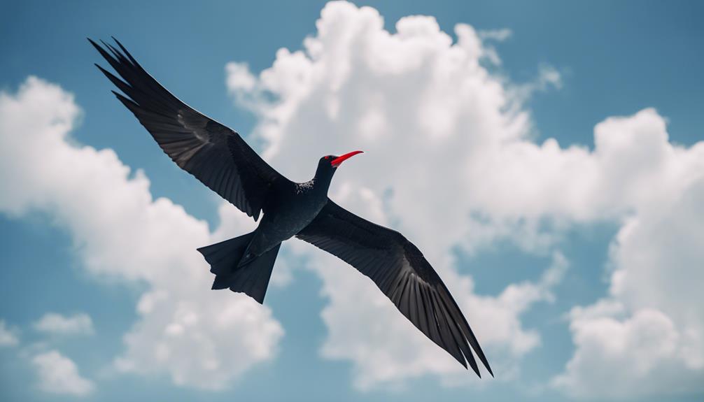 Top 15 Types Of Birds In The Caribbean (With Pictures) - Fly Aviary