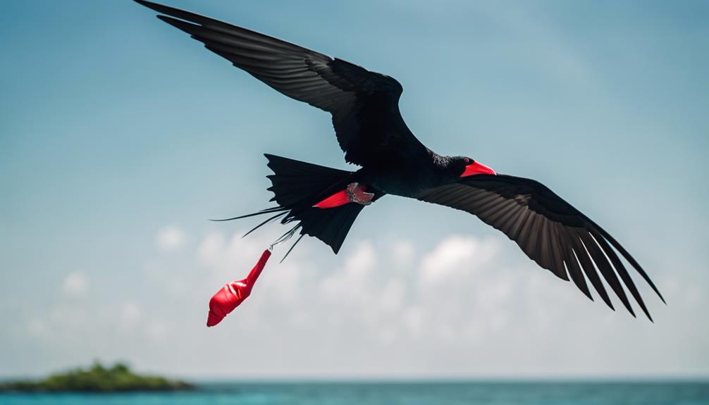 Top 15 Types Of Birds In Panama (With Pictures) - Fly Aviary