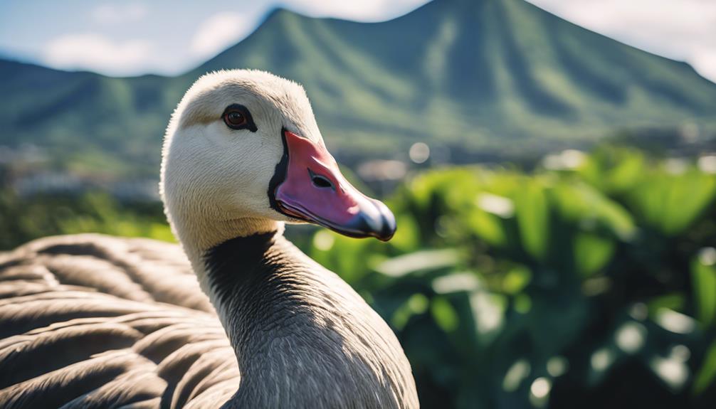 Top 15 Types Of Birds In Honolulu (With Pictures) - Fly Aviary