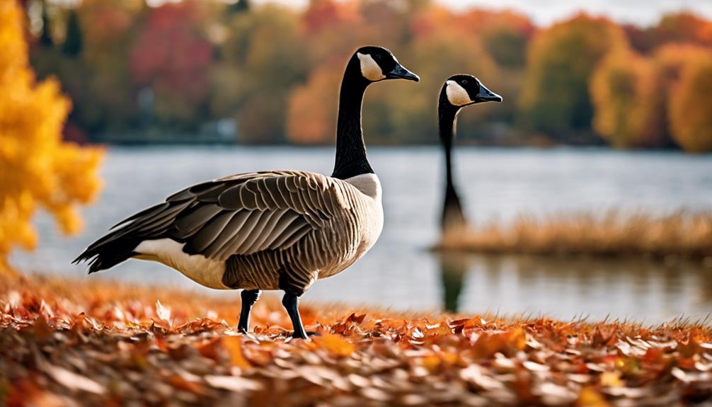 Top 15 Types Of Birds In Toronto (With Pictures) - Fly Aviary