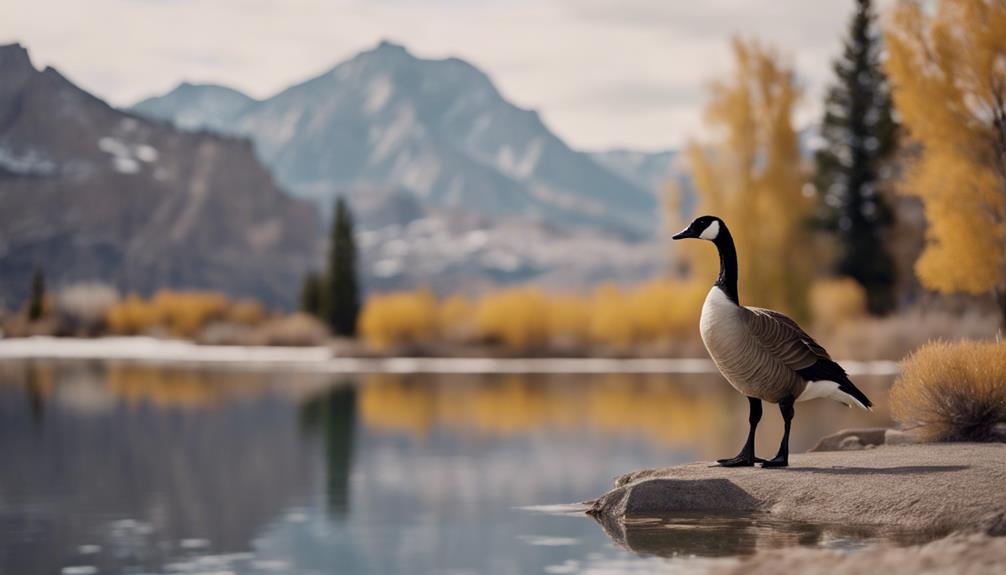 Top 15 Types Of Birds In Utah (With Pictures) - Fly Aviary