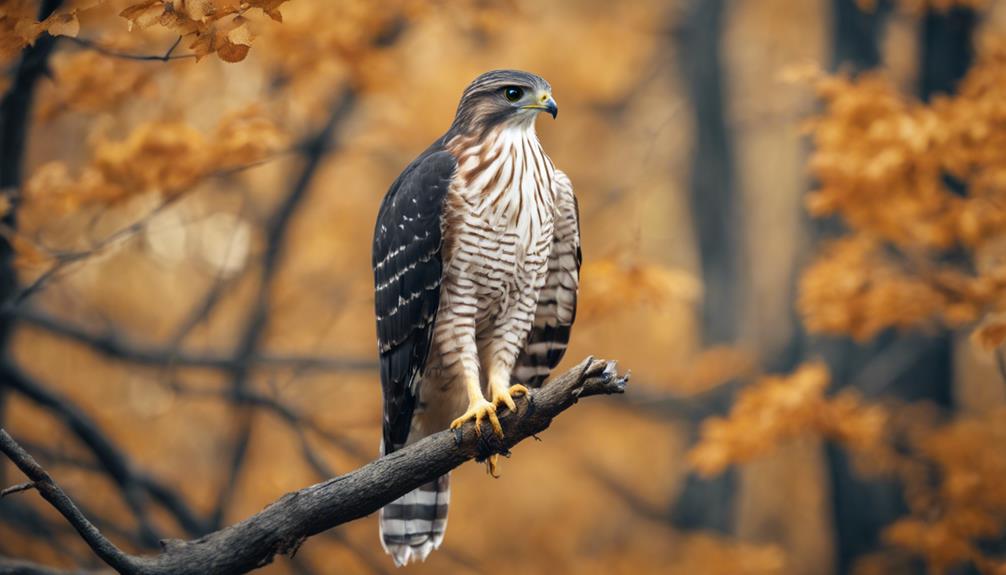 Top 15 Types Of Large Birds In Texas (With Pictures) - Fly Aviary