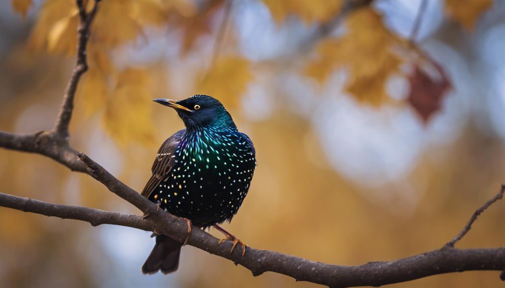 Top 15 Types Of Birds In New Jersey (With Pictures) - Fly Aviary