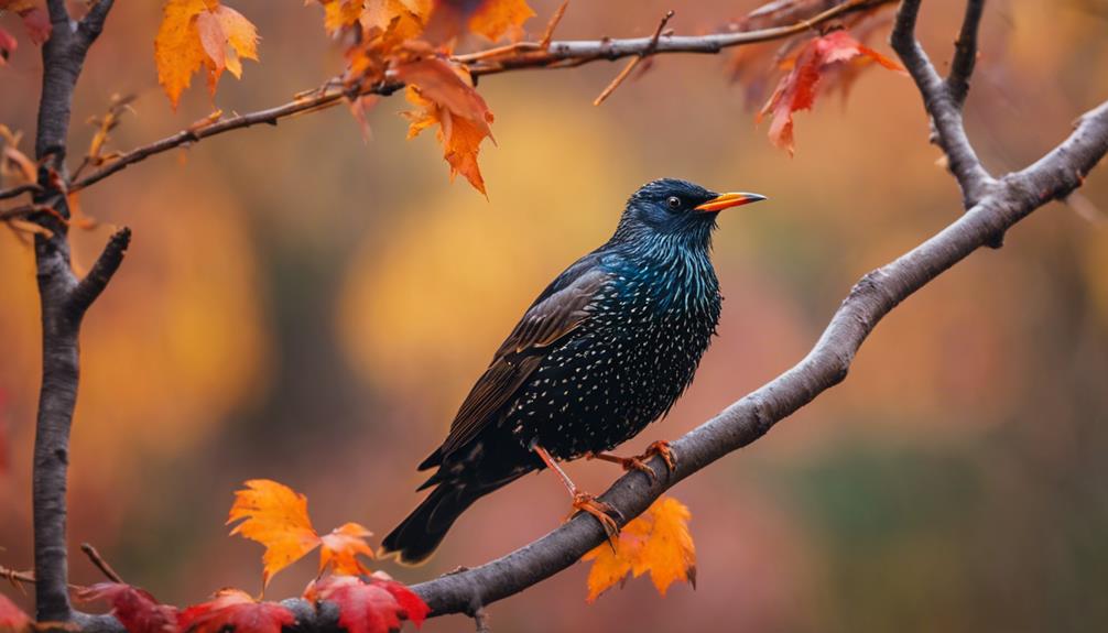 Top 15 Types Of Birds In Upstate New York (With Pictures) - Fly Aviary