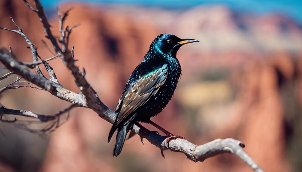 Top 15 Types Of Birds In Utah (With Pictures) - Fly Aviary
