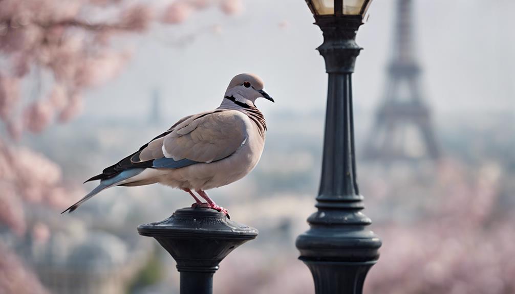 Top 15 Types Of Birds In Paris (With Pictures) - Fly Aviary