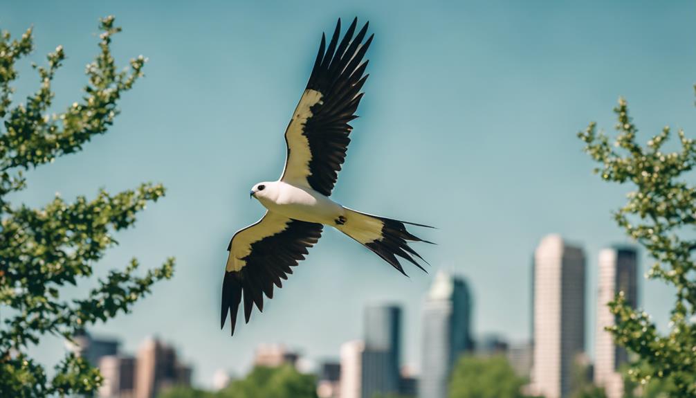 Top 15 Types Of Birds In Edmonton (With Pictures) - Fly Aviary
