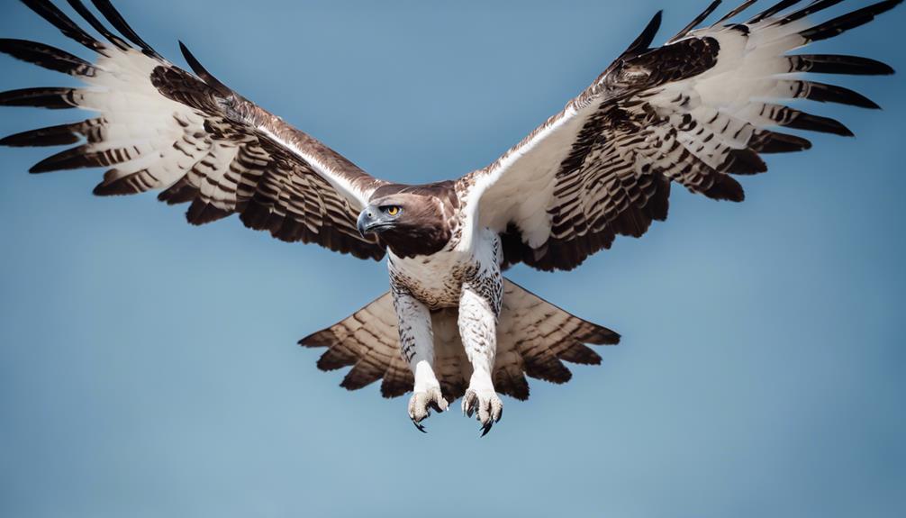 Top 15 Types Of Dangerous Birds (With Pictures) - Fly Aviary