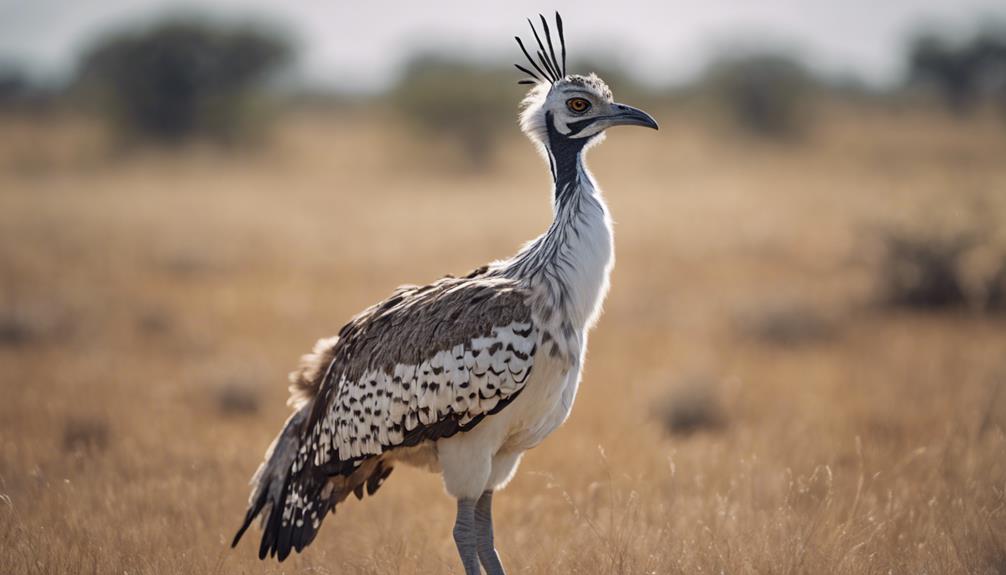 Top 15 Types Of Large Birds (With Pictures) - Fly Aviary