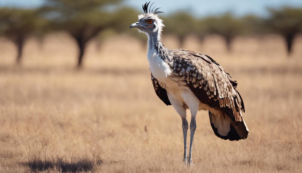 Top 15 Types Of Big Birds In South Africa (With Pictures) - Fly Aviary
