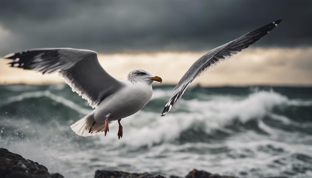 Top 15 Types Of Aggressive Birds (With Pictures) - Fly Aviary