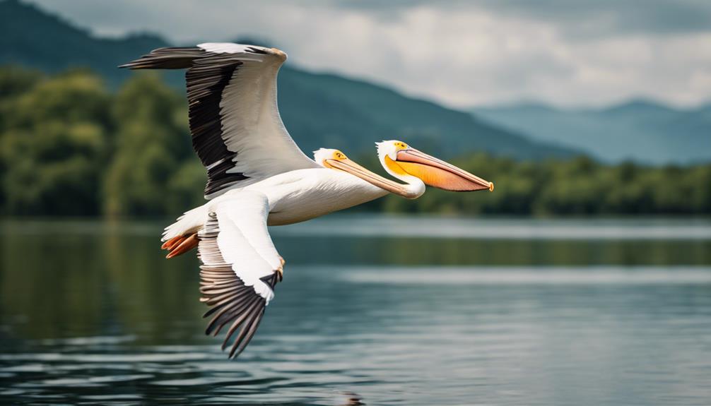 Top 15 Types Of Lake Birds (With Pictures) - Fly Aviary