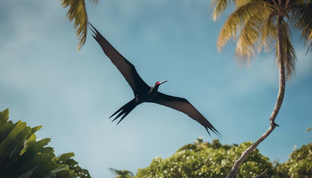 Top 15 Types Of Birds In Fiji (With Pictures) - Fly Aviary