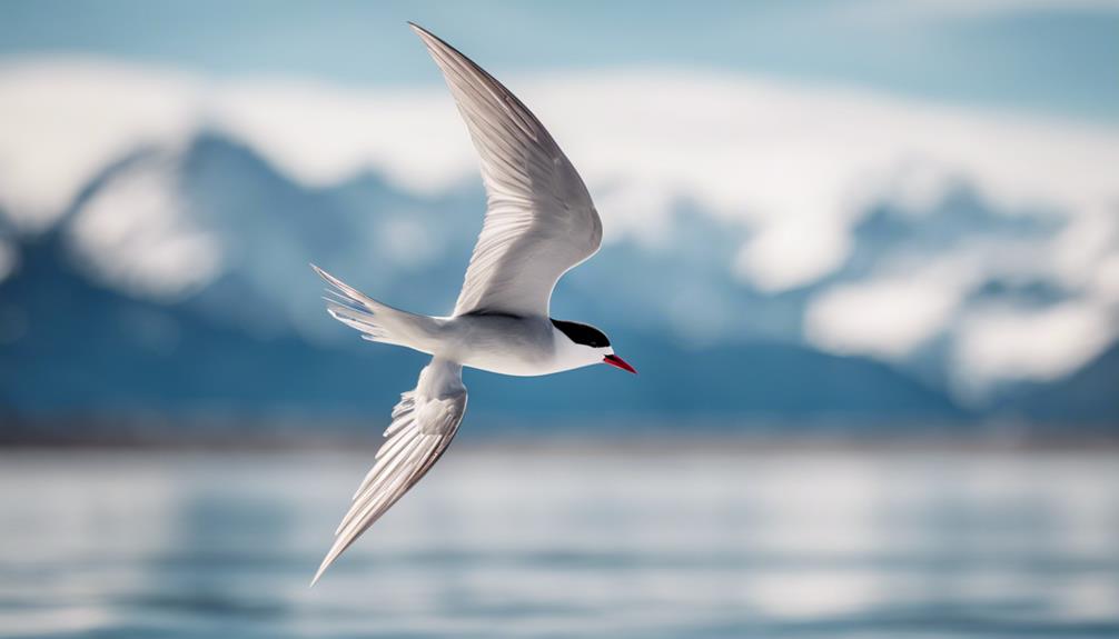 Top 15 Types Of Birds In Alaska (With Pictures) - Fly Aviary