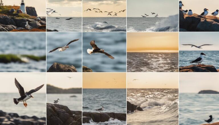 Top 15 Types Of Sea Birds In Maine (With Pictures) - Fly Aviary