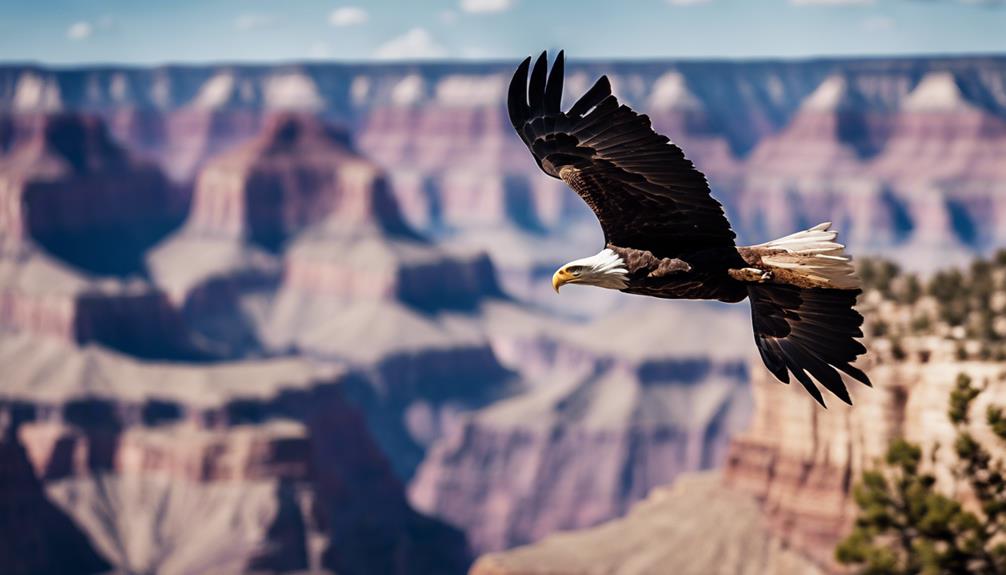 Top 15 Types Of Birds In Grand Canyon (With Pictures) - Fly Aviary