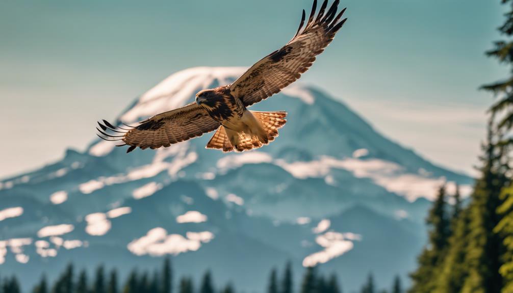 Top 15 Types Of Birds In Washington (With Pictures) - Fly Aviary