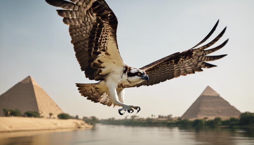Top 15 Types Of Birds In Egypt (With Pictures) - Fly Aviary