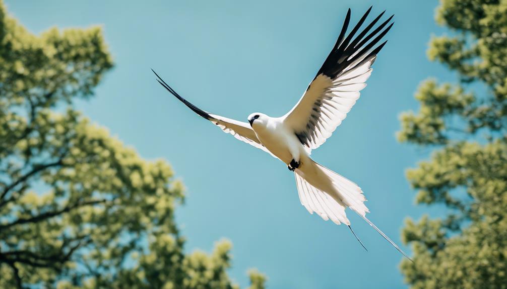 Top 15 Types Of Birds In Dallas Texas (With Pictures) - Fly Aviary