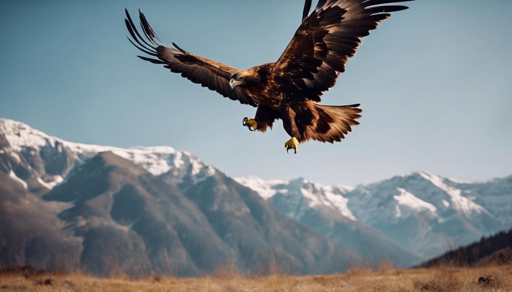 Top 15 Types Of Birds In Europe (With Pictures) - Fly Aviary