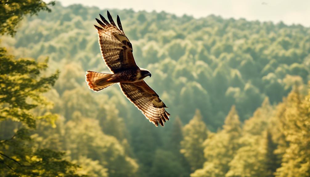 Top 15 Types Of Birds In The Forest (With Pictures) - Fly Aviary