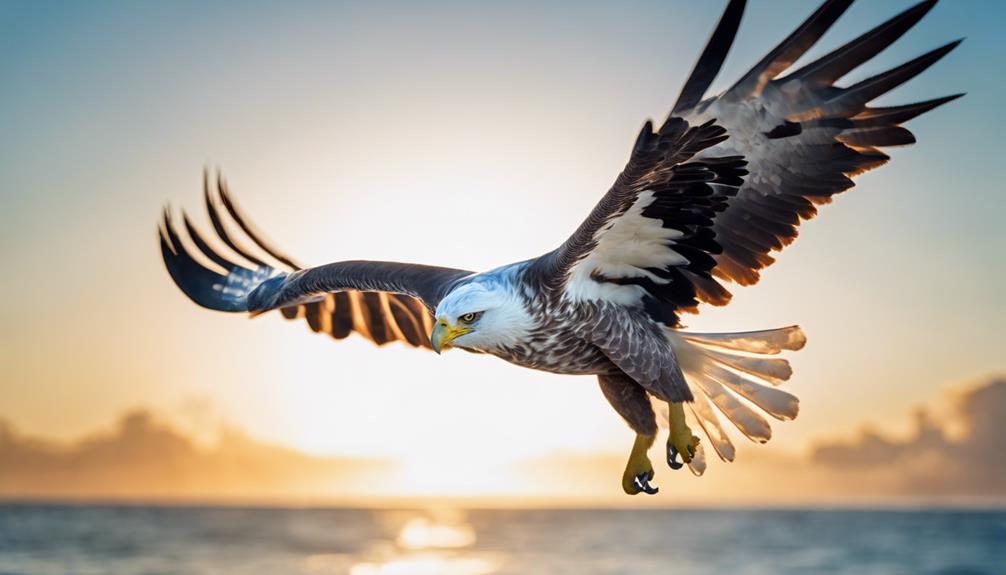 Top 15 Types Of Diving Birds (With Pictures) - Fly Aviary