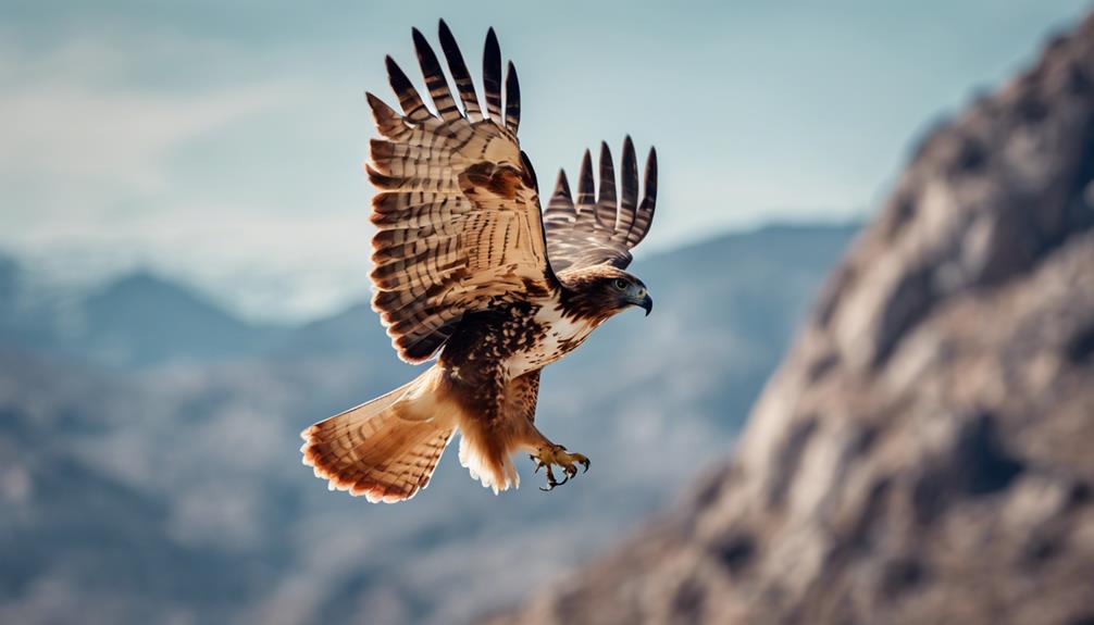 Top 15 Types Of Dangerous Birds (With Pictures) - Fly Aviary