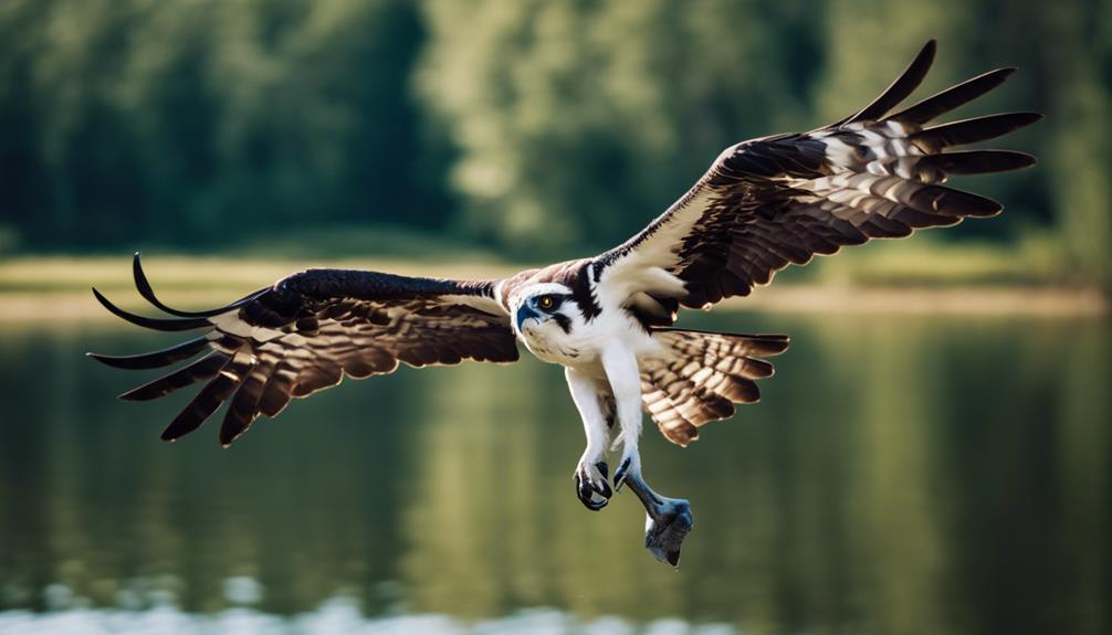 Top 15 Types Of Carnivorous Birds (With Pictures) - Fly Aviary