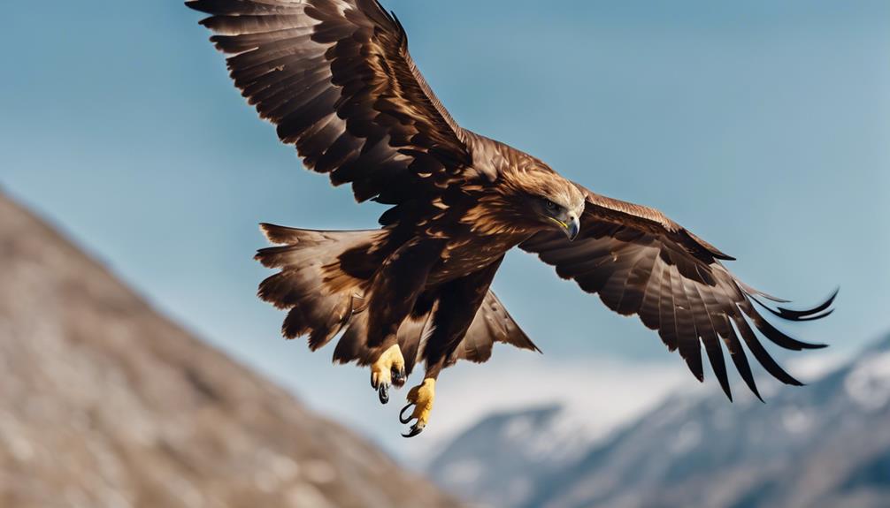 Top 15 Types Of Eagles (With Pictures) - Fly Aviary