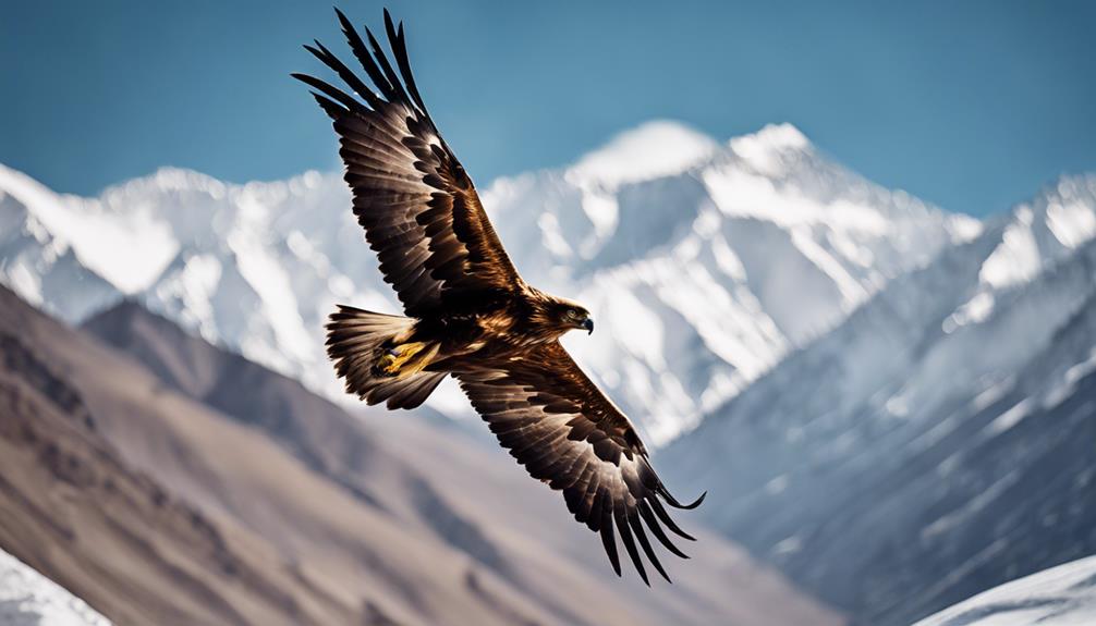 Top 15 Types Of Birds In Ladakh (With Pictures) - Fly Aviary