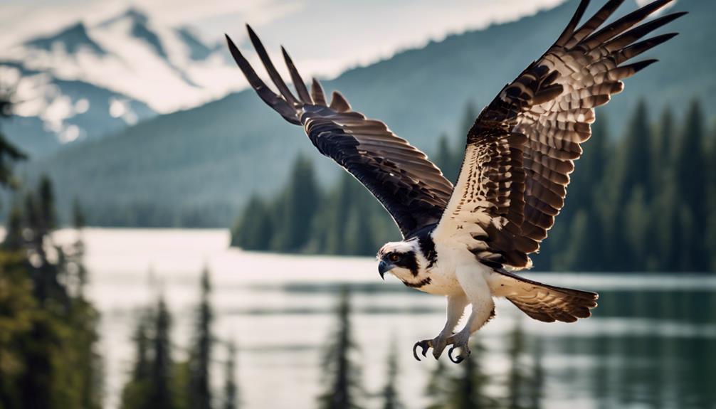 Top 15 Types Of Birds In Washington State (With Pictures) - Fly Aviary