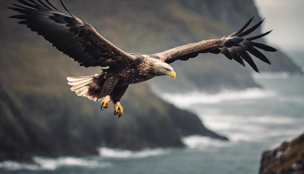 Top 15 Types Of Birds In Scotland (With Pictures) - Fly Aviary