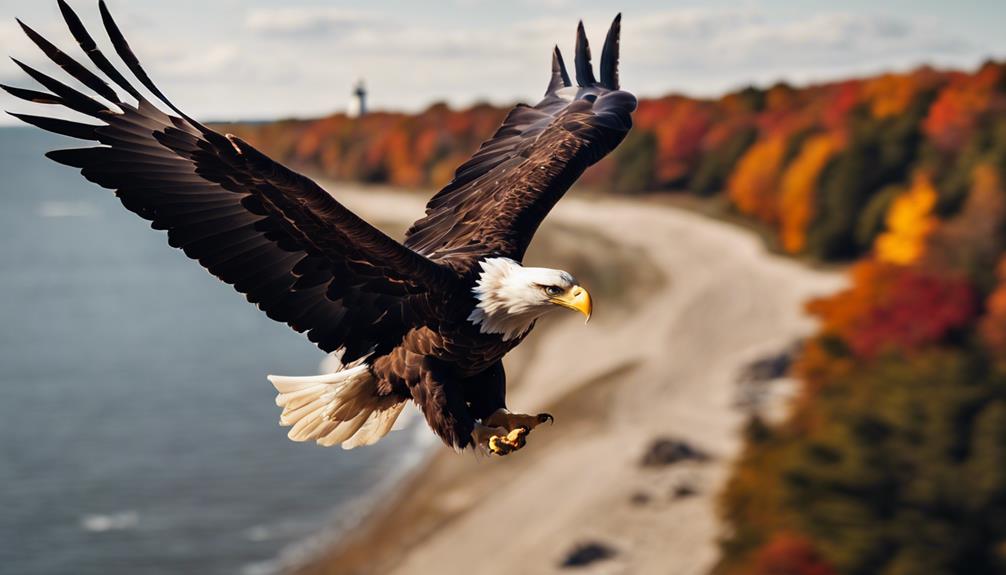 Top 15 Types Of Birds In Massachusetts (With Pictures) - Fly Aviary