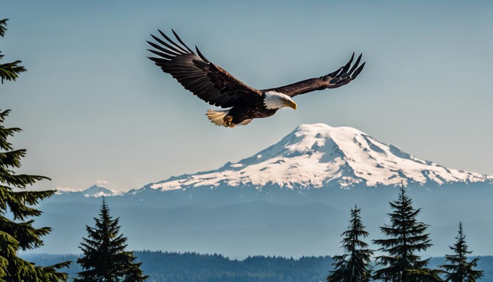 Top 15 Types Of Birds In Washington State (With Pictures) - Fly Aviary