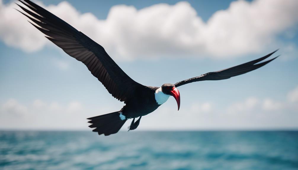 Top 15 Types Of Birds In The Ocean (With Pictures) - Fly Aviary