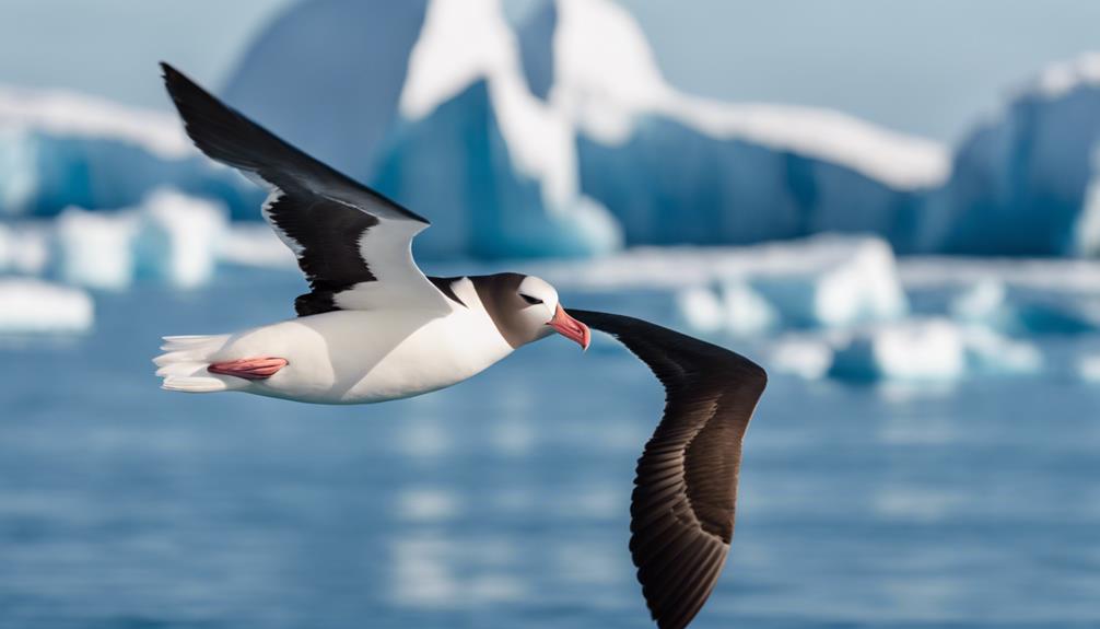 Top 15 Types Of Birds In Antarctica (With Pictures) - Fly Aviary
