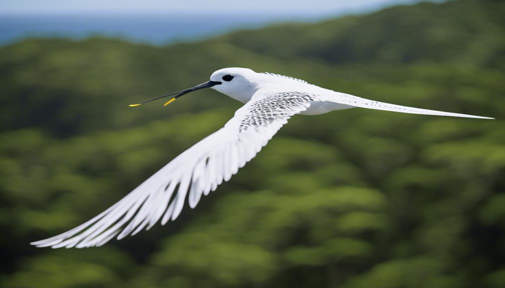 Top 15 Types Of Birds In Puerto Rico (With Pictures) - Fly Aviary