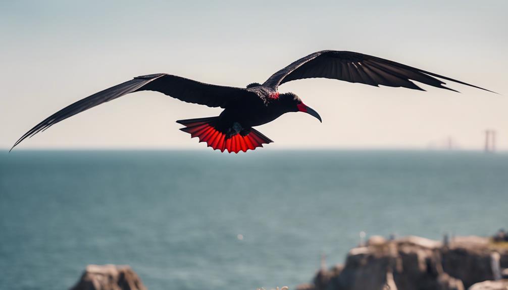 Top 15 Types Of Birds In Brooklyn (With Pictures) - Fly Aviary